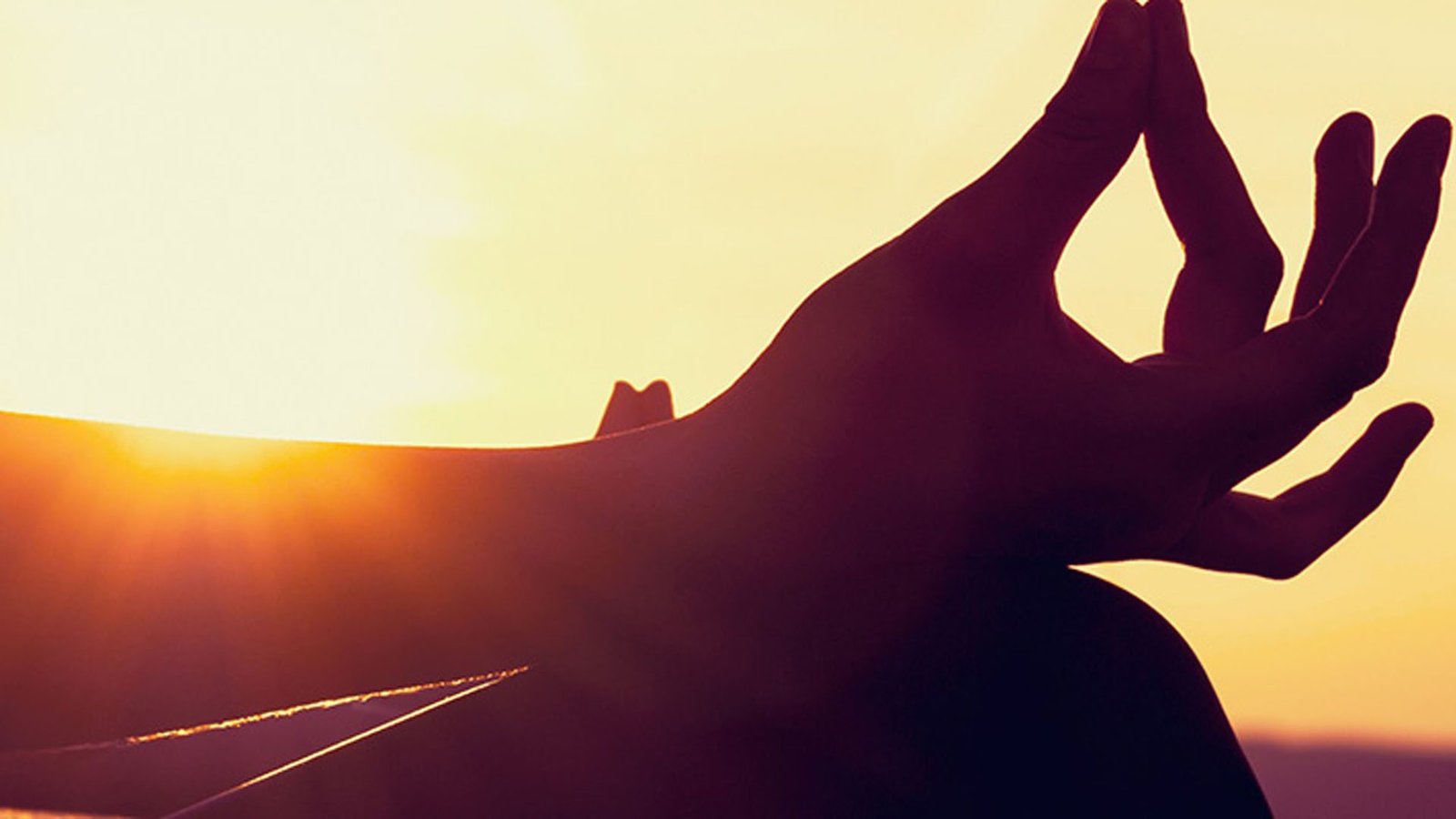 Pellowah Healing – Sundara Yoga and Wellness